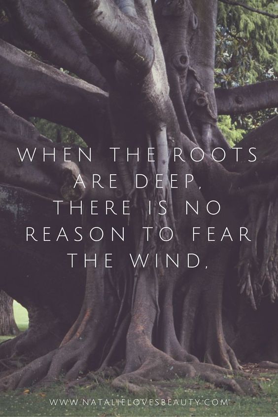 Shared Roots | Na'ama Yehuda