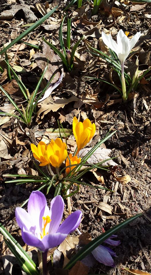 Incubate Hope | Na'ama Yehuda