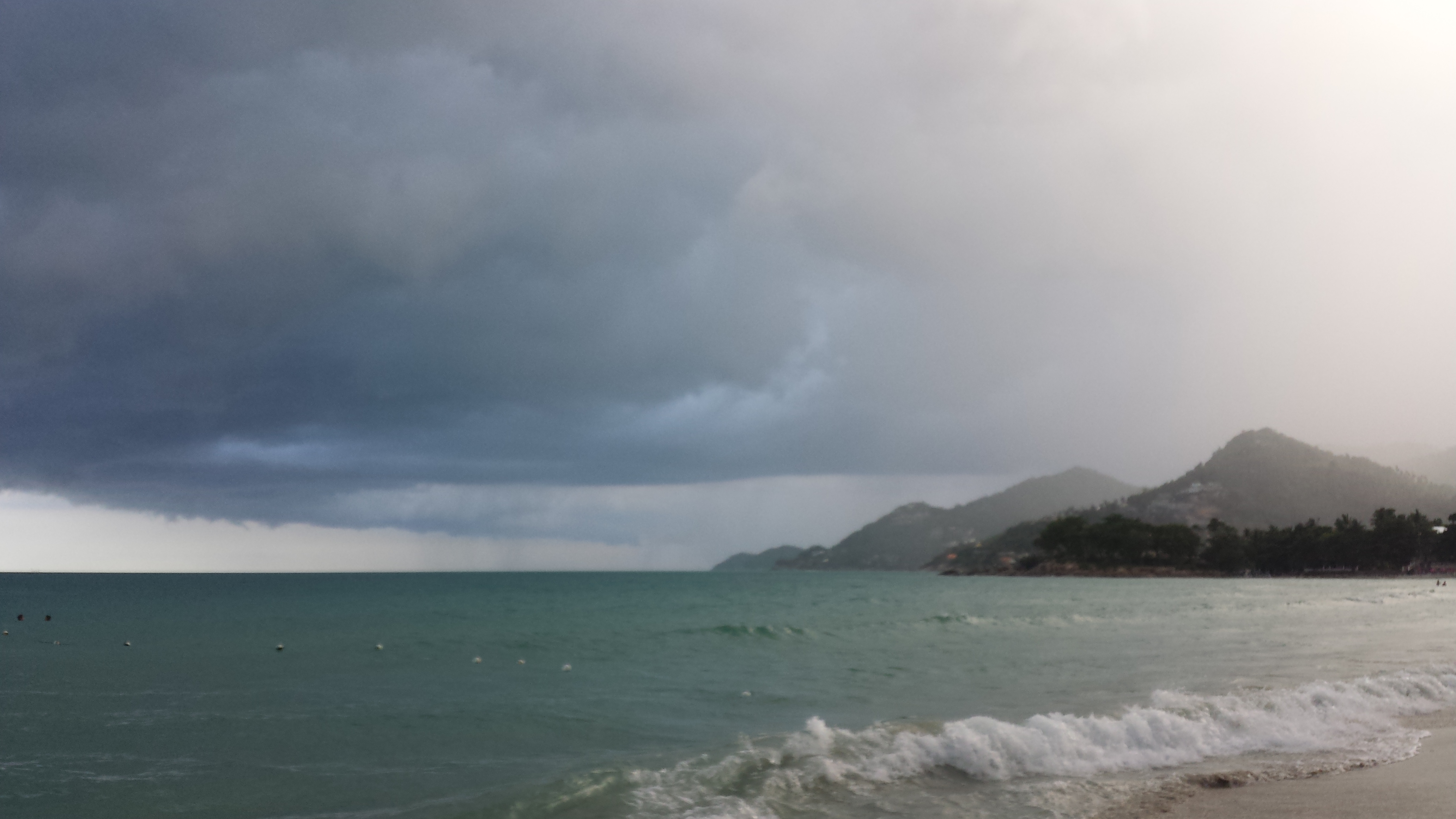 Tropical Trio | Na'ama Yehuda