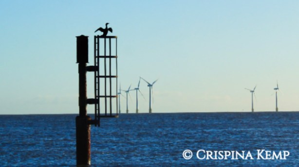 Watching | Na'ama Yehuda